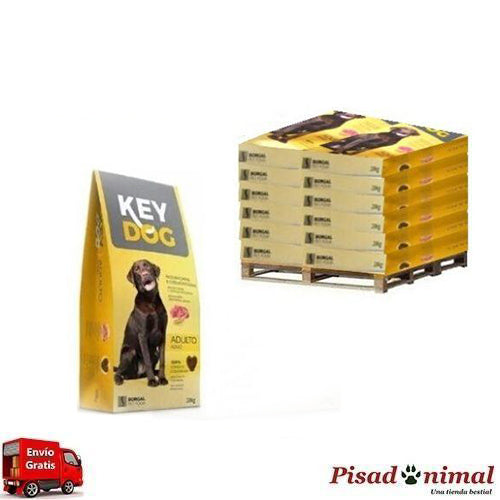 Comprar KEY DOG Alimento para Perros Adultos Mejor Calidad Precio ...